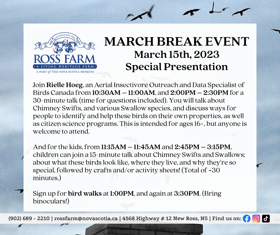 Chimney Swifts and Swallows | Ross Farm Museum